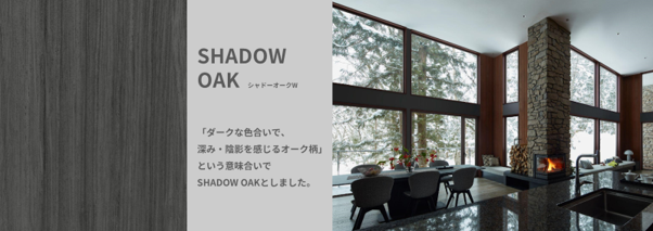 樹脂窓「EW for Design」のラインアップを強化 新しく複層ガラス仕様を展開するほか、トリプルガラス仕様に品種追加｜Newsroom｜LIXIL